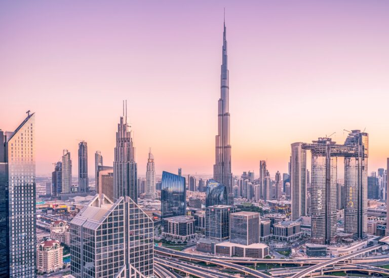 Small States and Pandemic: The UAE Approach - RSIS