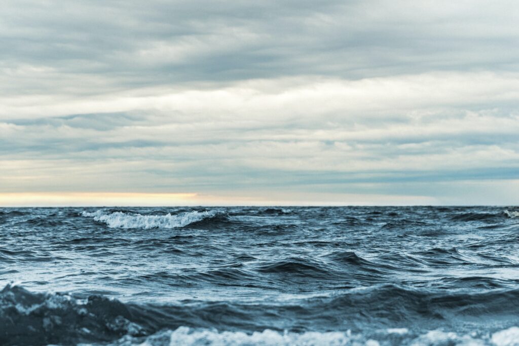Finally, Protection for the High Seas - RSIS